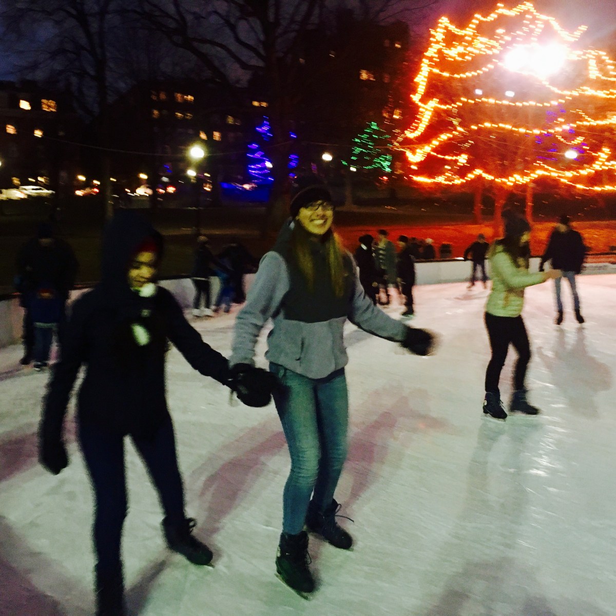 Frog Pond – Ice Skating – Winter 2017 – LHS Outdoor Adventures Club